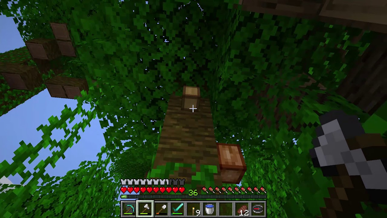 How to get Cocoa Beans guide - Minecraft - YouTube