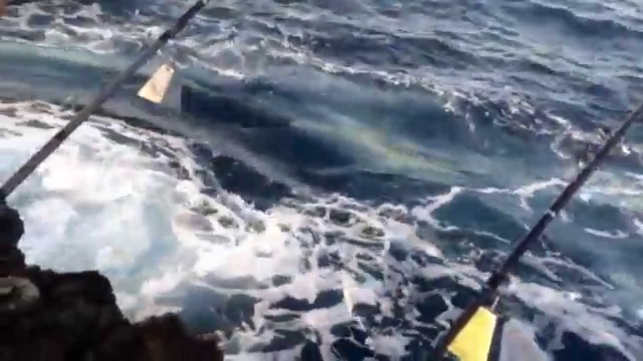 Ulua & Omilu (June-2015) Ulua fishing big island - YouTube