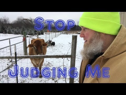 Judgemental Cow, I Need a List - YouTube