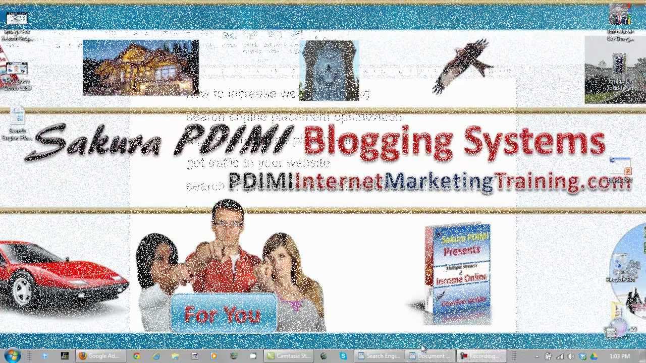 Search Engine Placement And Optimization - YouTube