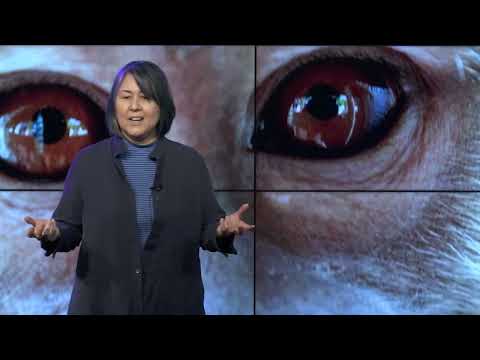 Is Testing On Animals Justified By The Scientific Necessity