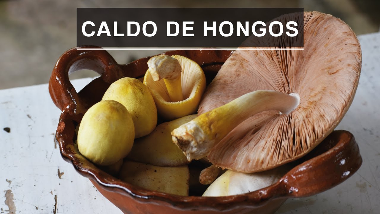🍄 HONGOS DE CAZAHUATE EN CALDO ROJO - YouTube