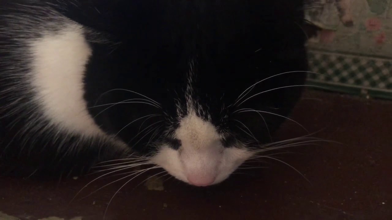 Gary is afraid. - YouTube