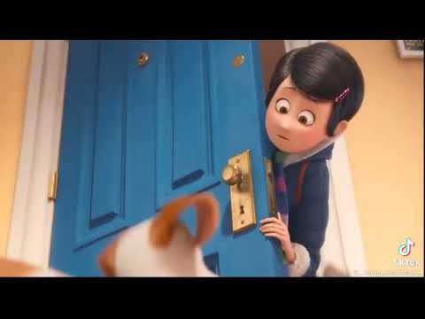 Harun Memedov Hayvanlar dünyası