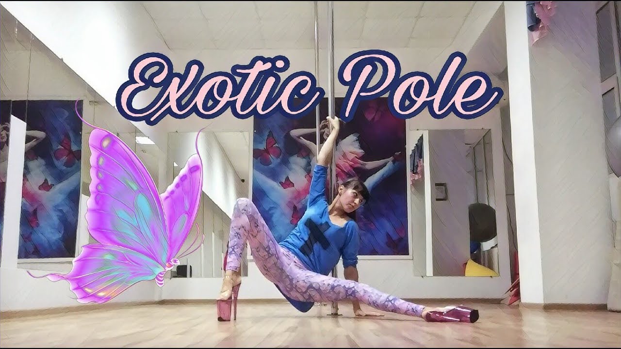 Exotic Pole Dance/ Taylor Swift - Look What You Made Me Do - YouTube