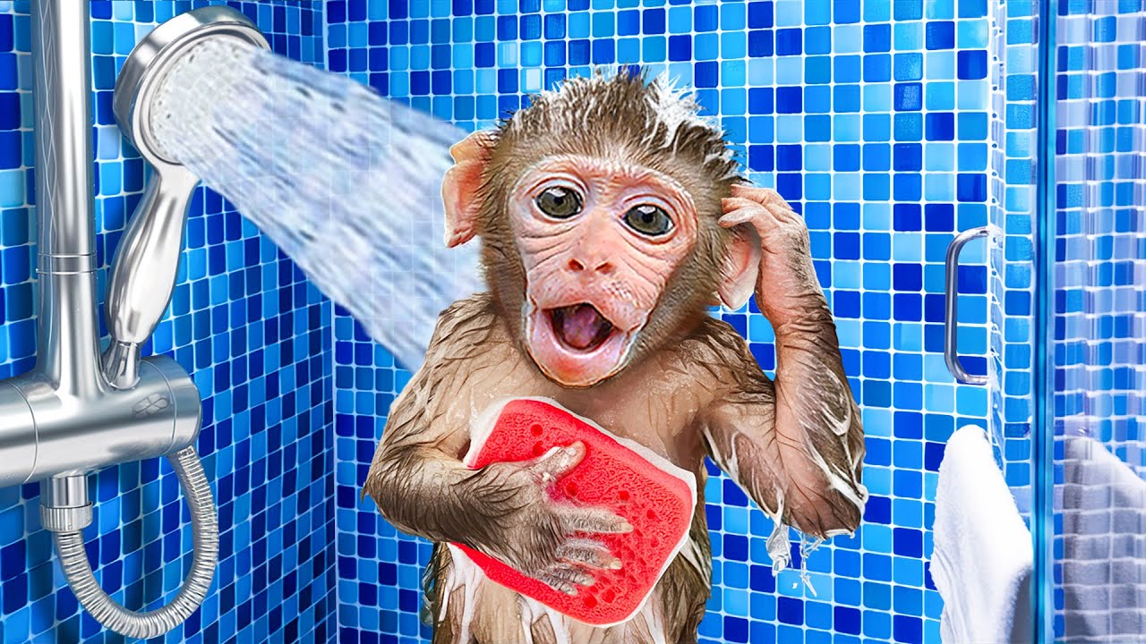 Singe Mon Mon prend un bain avec le mignon bébé singe 🐒💦 - YouTube