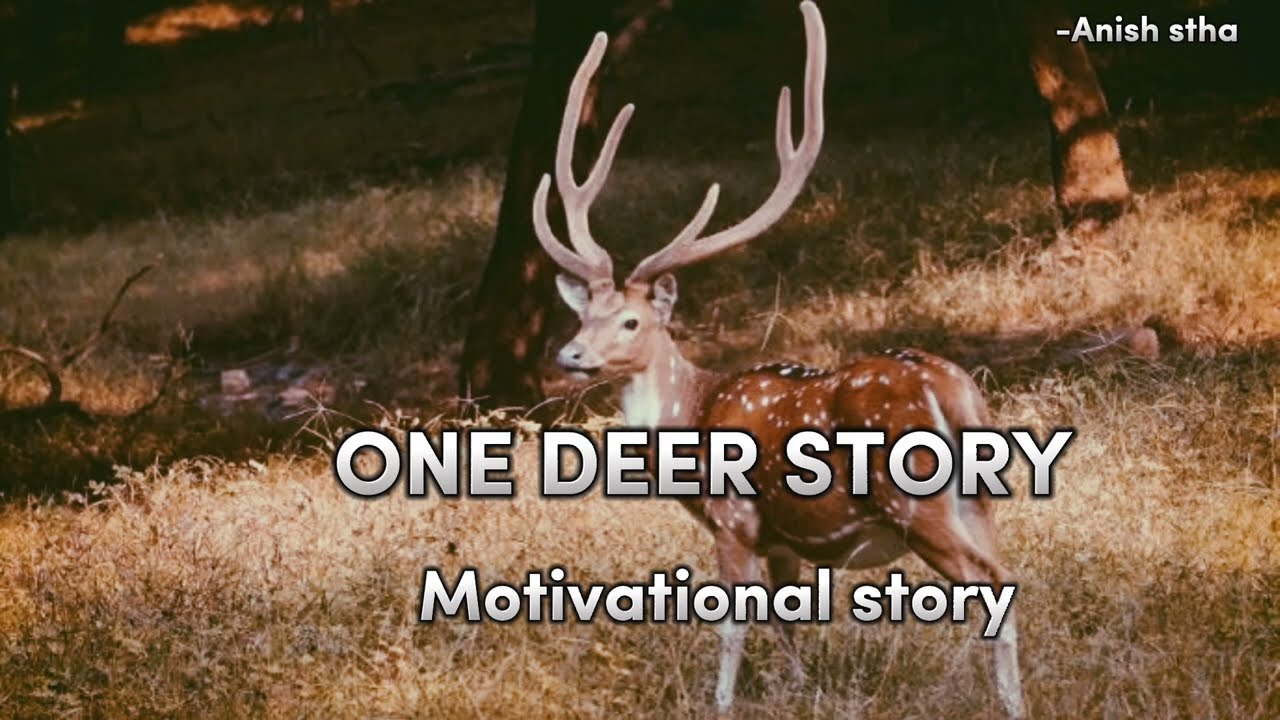 Nepali Motivational Viedo One Deer Motivational Story nepali-motivational-viedo-one-deer-motivational-story