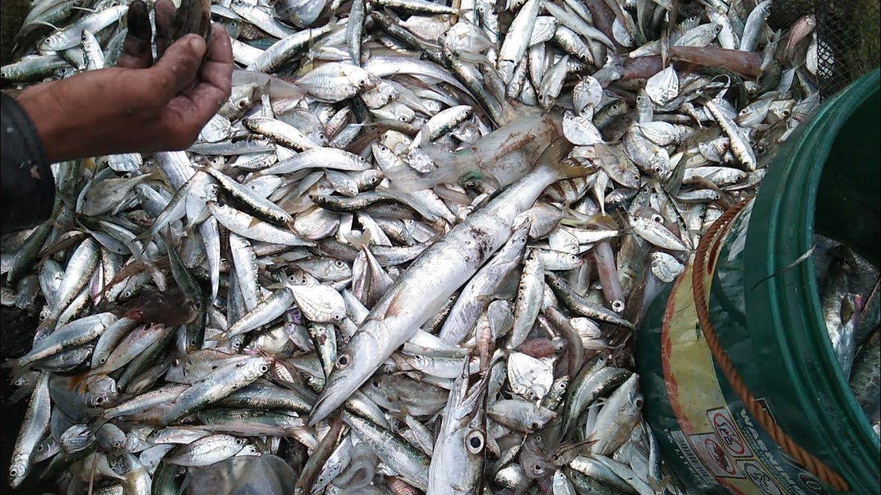 pag pandaw ng aming baklad daming huli watch til the end - YouTube