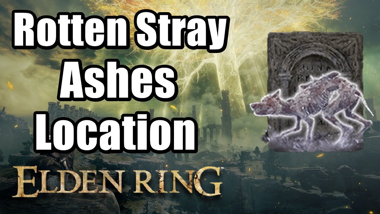 Elden Ring Rotten Stray Ashes Best Spirit Ash Location YouTube elden-ring-rotten-stray-ashes-best-spirit-ash-location-youtube
