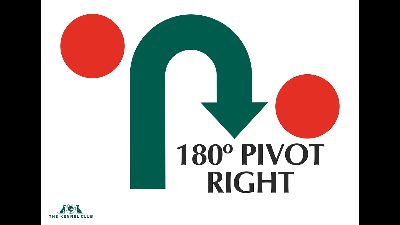 Exercise 47: Sit 180 Pivot Right Sit - YouTube