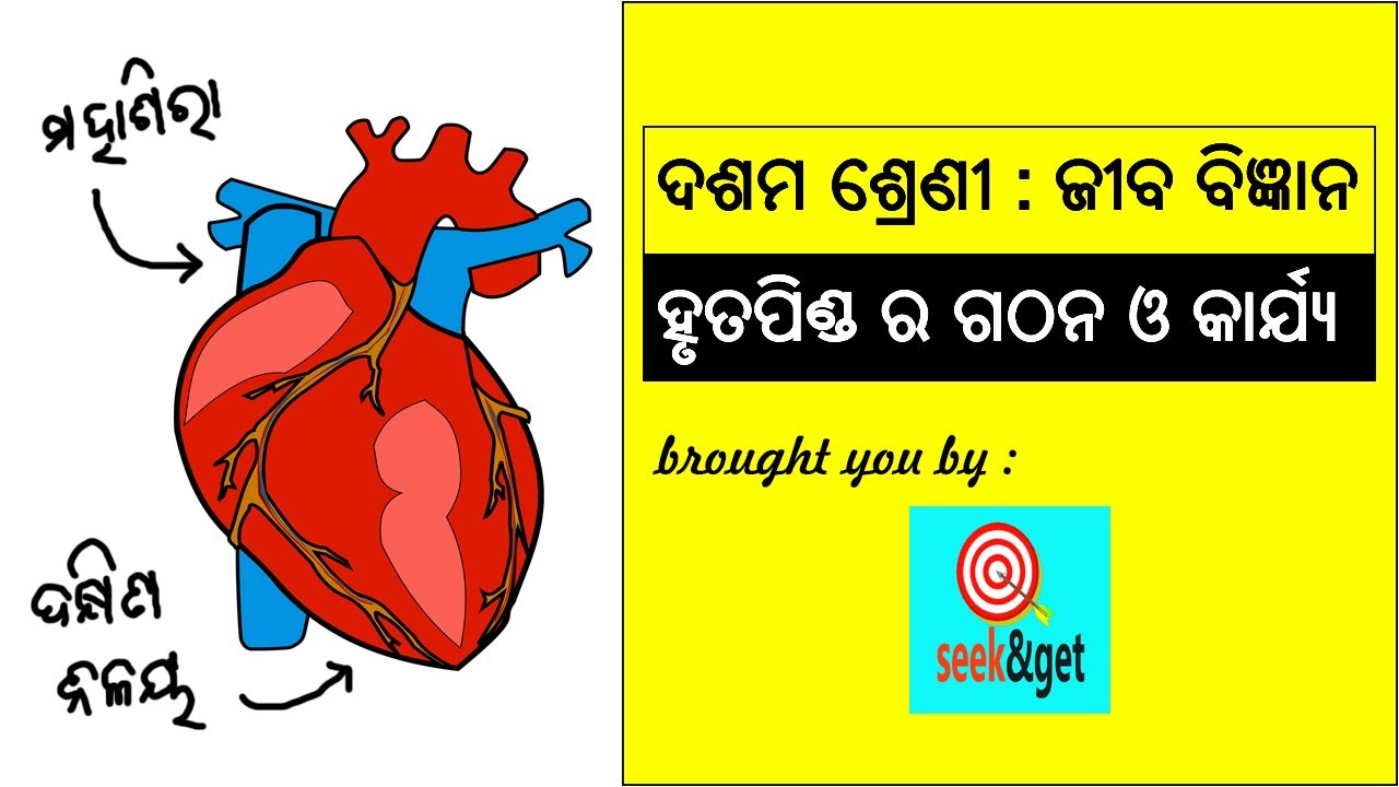 10th Life science in odia | human heart | ଜୀବ ବିଜ୍ଞାନ ଦଶମ ଶ୍ରେଣୀ | seek ...