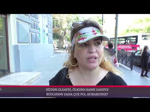 Sizdən olsaydı, hansı sahəyə büdcədən daha çox pul ayırardınız?