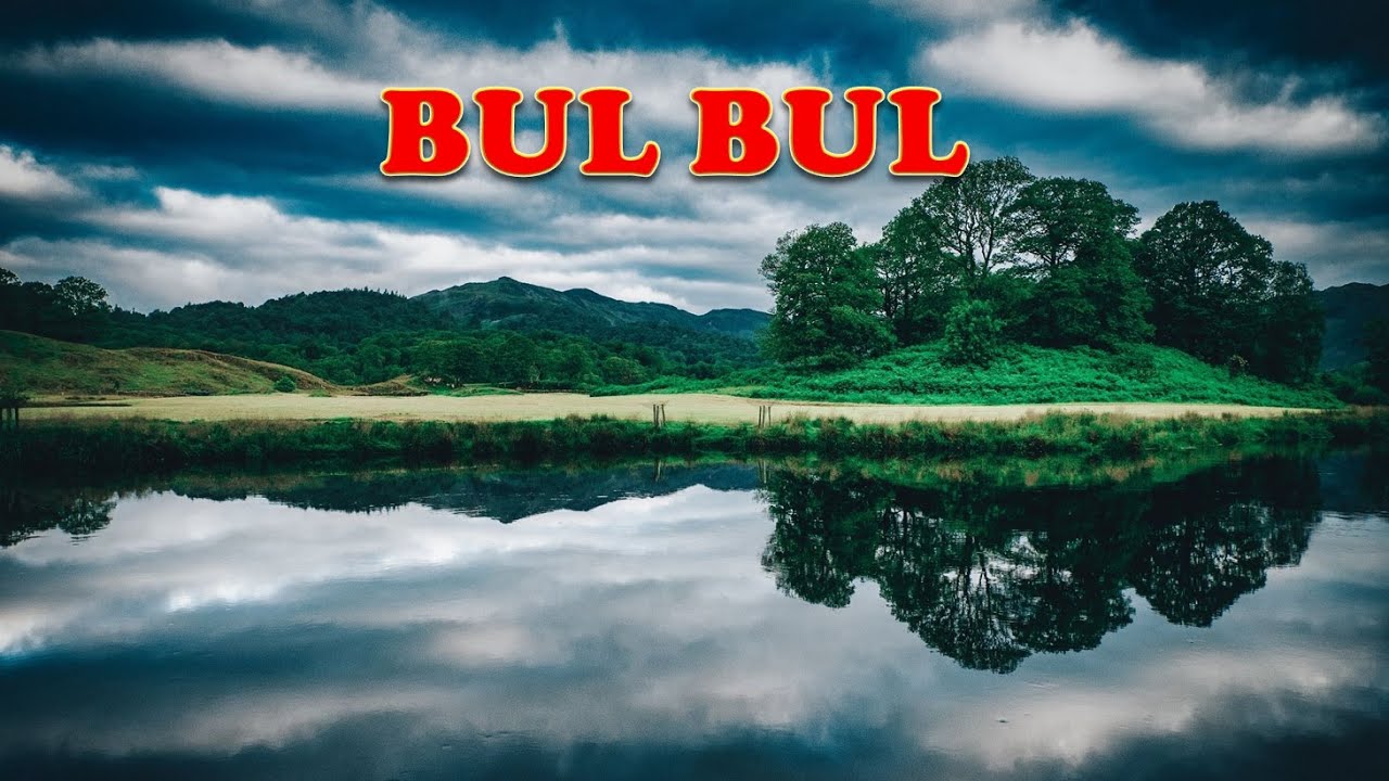 BUL BUL - Mamed Tagirov (AHISKA MÜZIK)(Ахыска) - YouTube