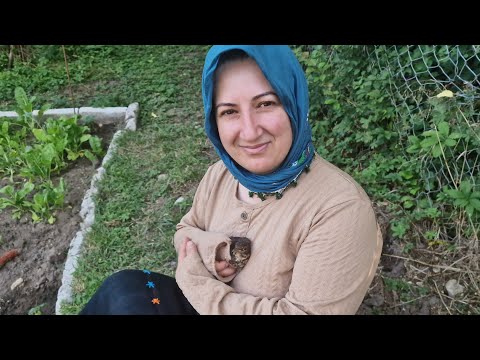 BAHÇEDE ÖLECEKTİ 😭😭20 YILDIR BU İŞLERİ YAPAYRIM CANLARIM 🧿❤️🤲NELER topladım 