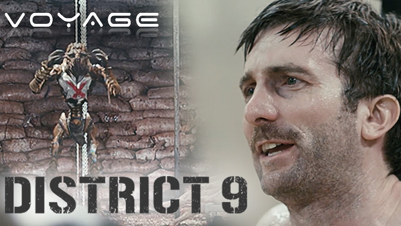"I'll Shoot A Pig But I Won't Shoot A Prawn!" | District 9 | Voyage - YouTube