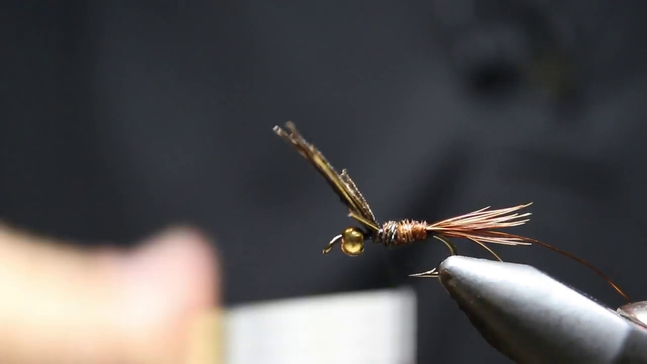 Flashback Beadhead Pheasant Tail Nymph - Fly Tying Video - YouTube