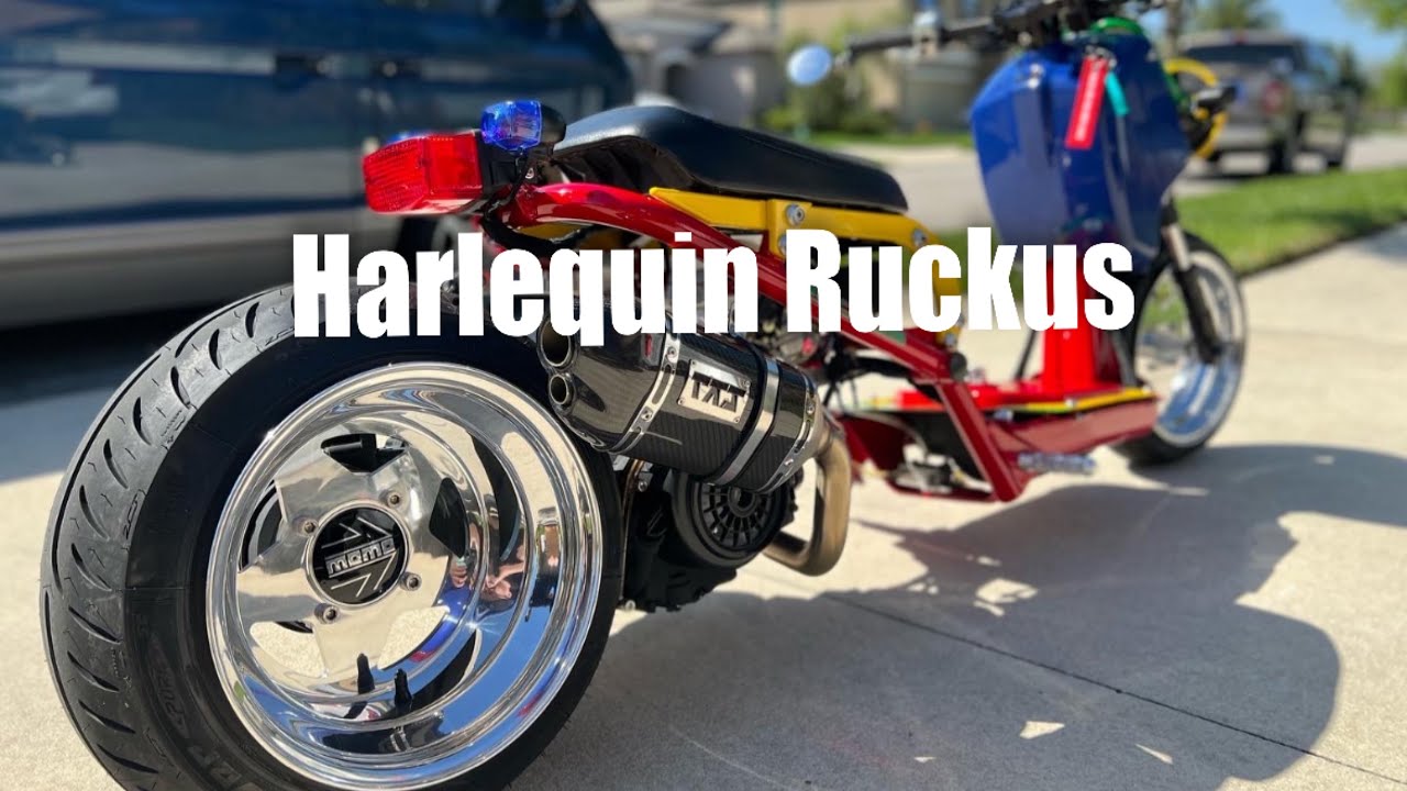 Honda Ruckus Harlequin Build Series is Done! - YouTube