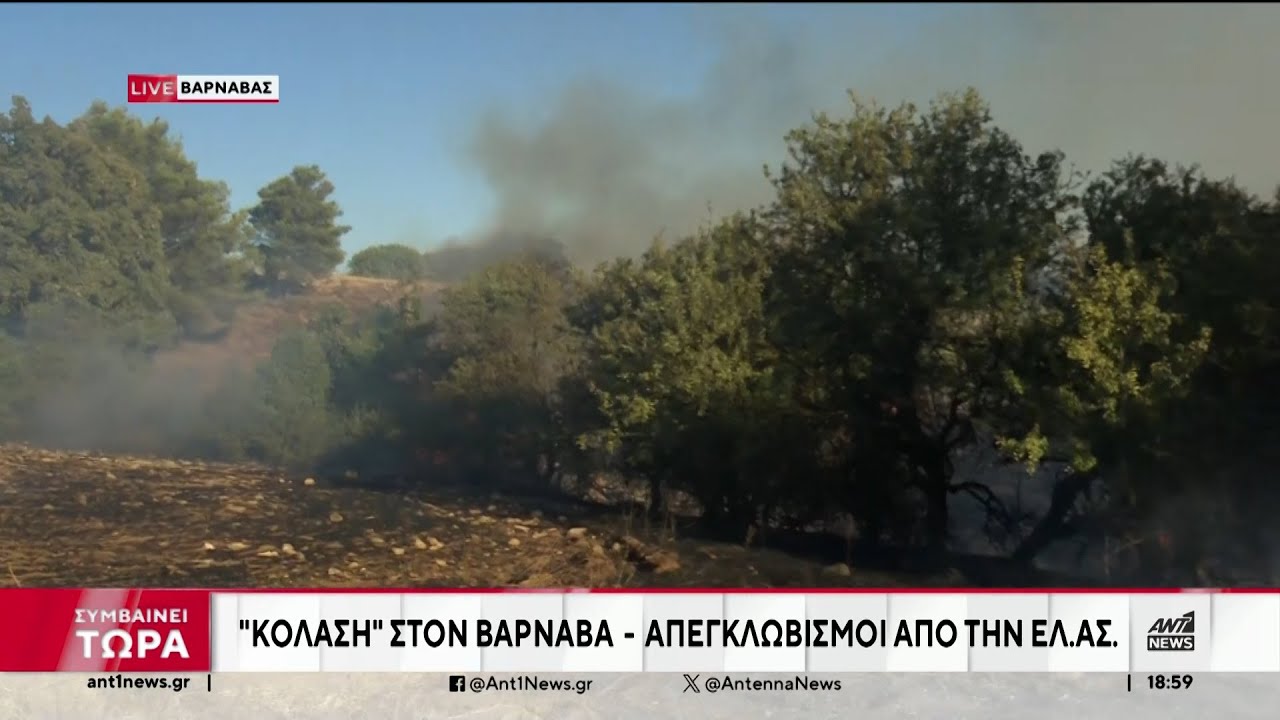 Φωτιά στον Βαρνάβα: Ανεξέλεγκτη η πυρκαγιά – Ισχυροί άνεμοι στην ...
