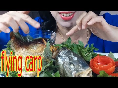 ASMR. carp flying extremely crispy ( eating sounds ) no talking | VI ASMR