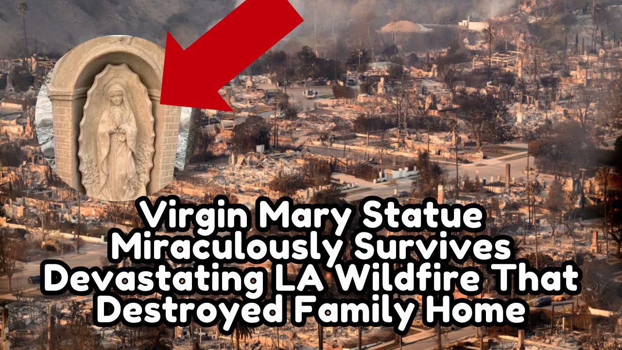 Virgin Mary Statue Miraculously Survive Devastating Palisades LA ...