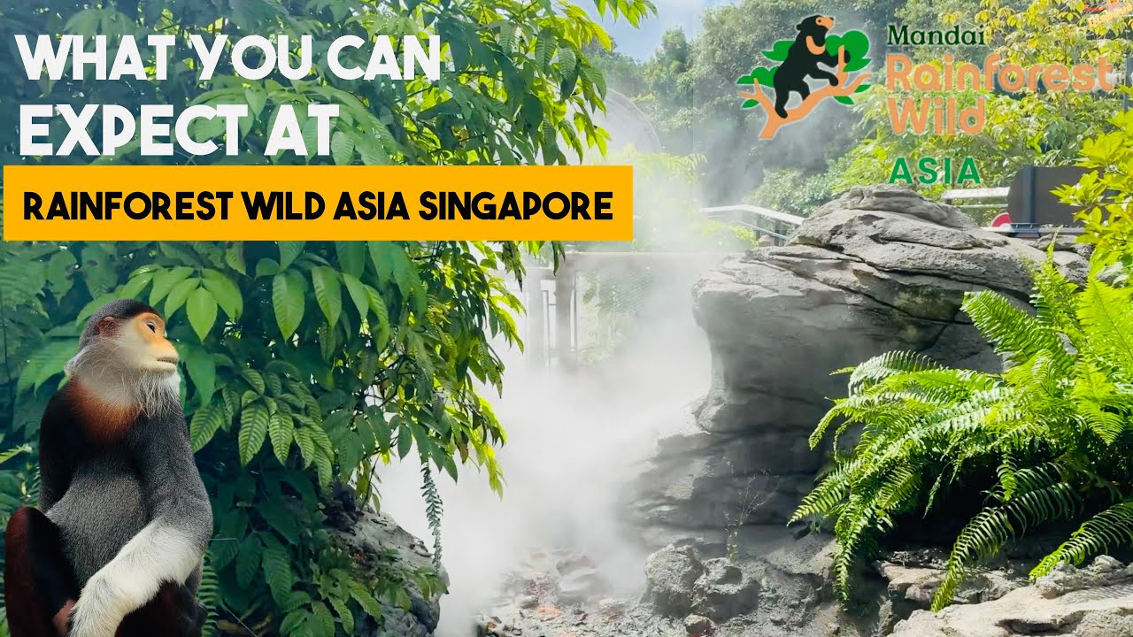"NEW Rainforest Wild Asia Adventure! 🌿🦁 A Must-Visit at Mandai ...