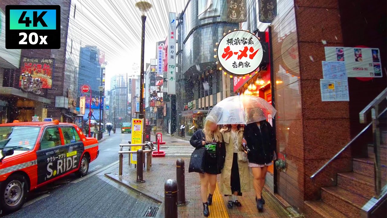 4k 東京に大雪警報!雪が降る新宿歌舞伎町を散歩 Shinjuku Kabukicho 2023年2月 東京倍速散歩 Youtube