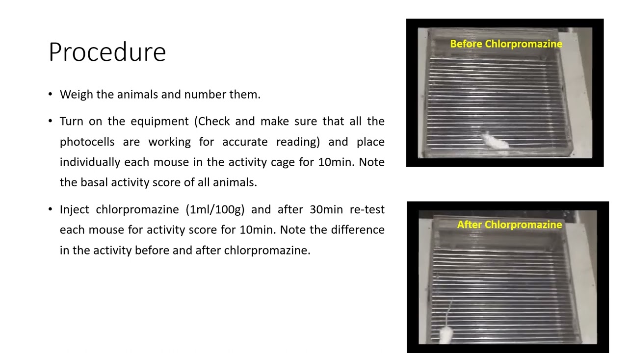 Effect of drugs on locomotor activity using actophotometer - YouTube