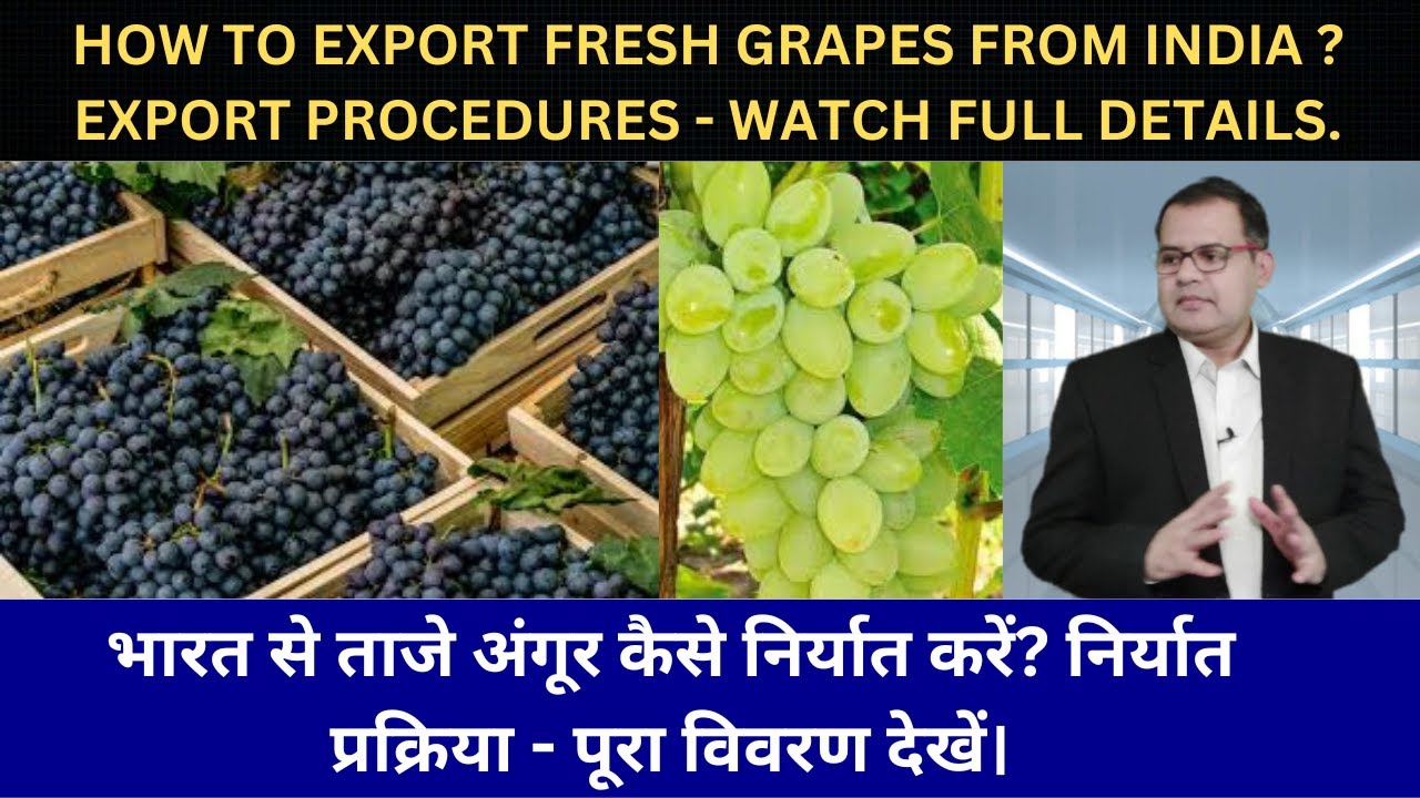 HOW TO EXPORT GRAPES | GLOBAL BUSINESS EXPERTS | EXPORT GRAPES FROM ...