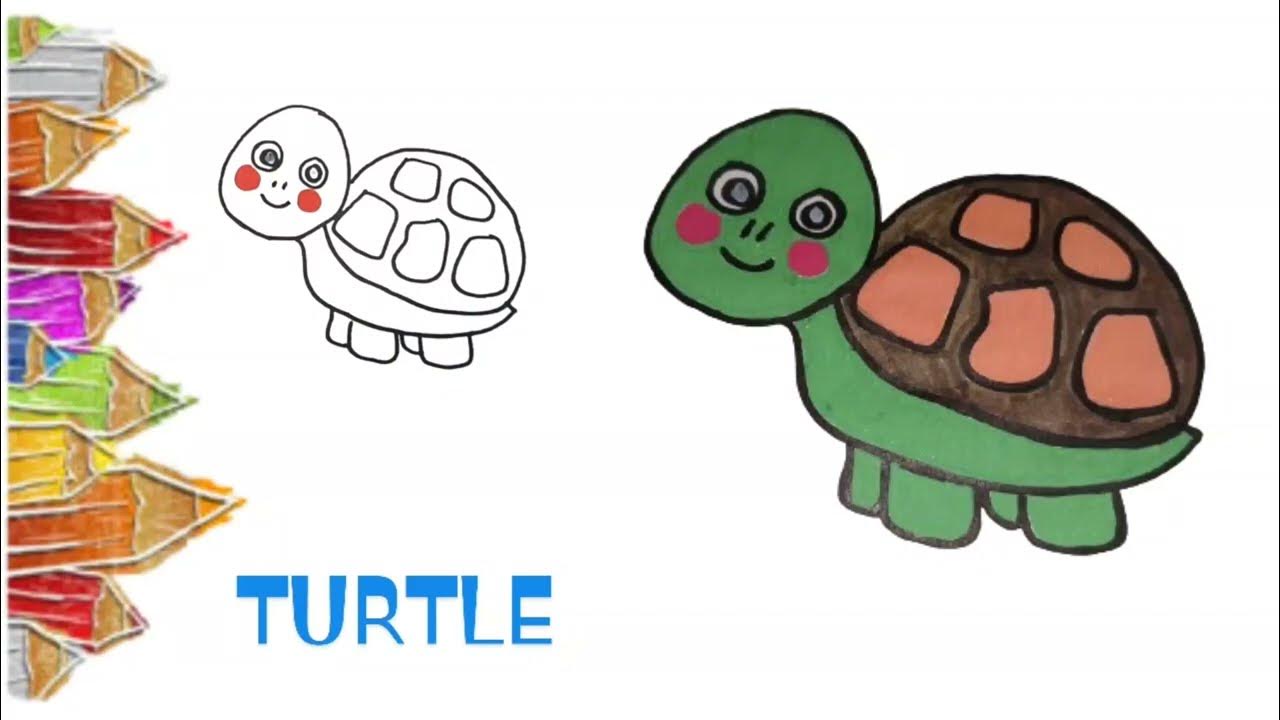 Learn Colors by Drawing Turtle, Art Colors with Colored Marker for Kids ...