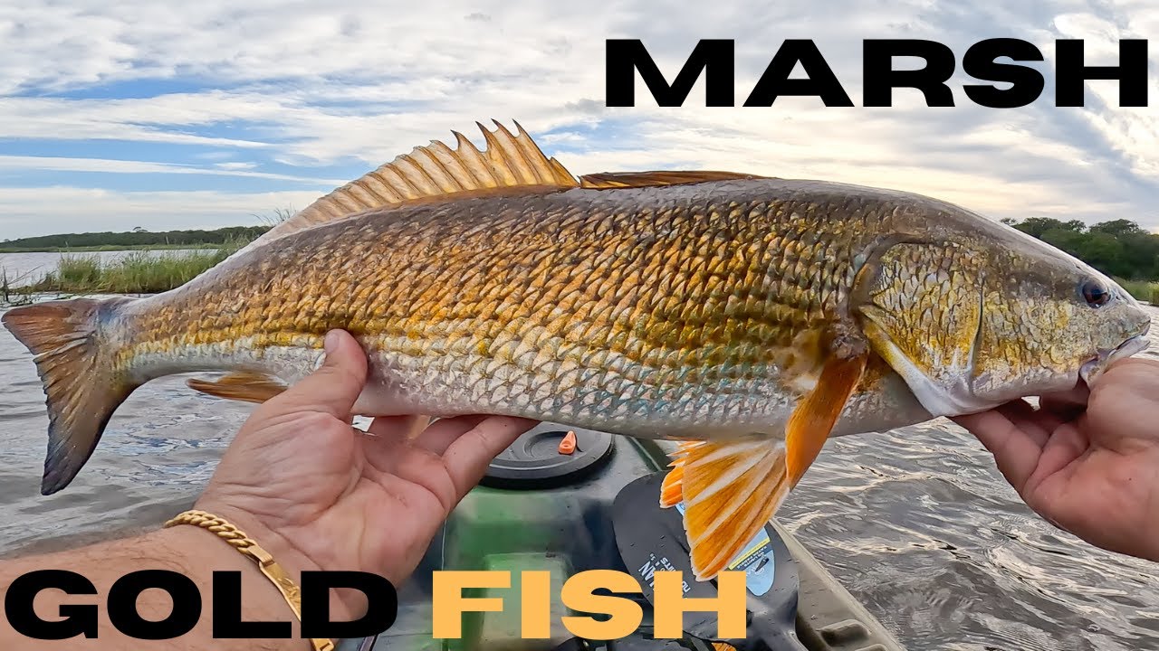 Fishing in Jacksonville, FL - Guana Lake - YouTube