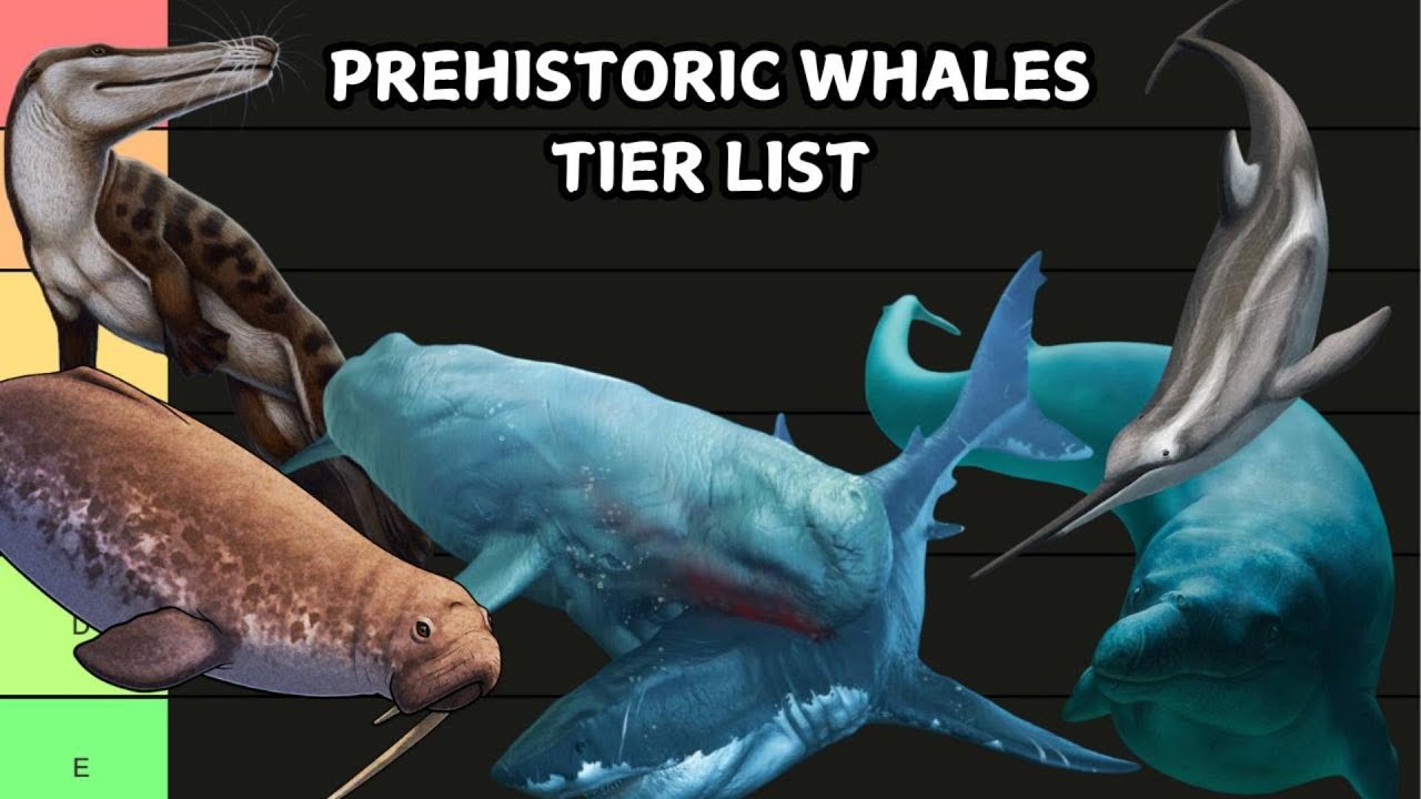 PREHISTORIC WHALES RANKING (TIER LIST)#whale #tierlist #ranking # ...
