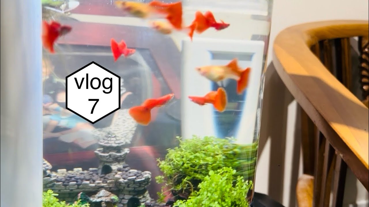Vlog 7: Worms, Larva and DM 🥰 - YouTube
