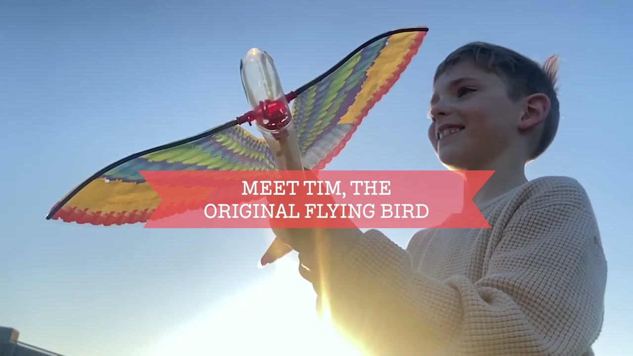 Tim The Original Flying Bird Tiger Tribe - YouTube