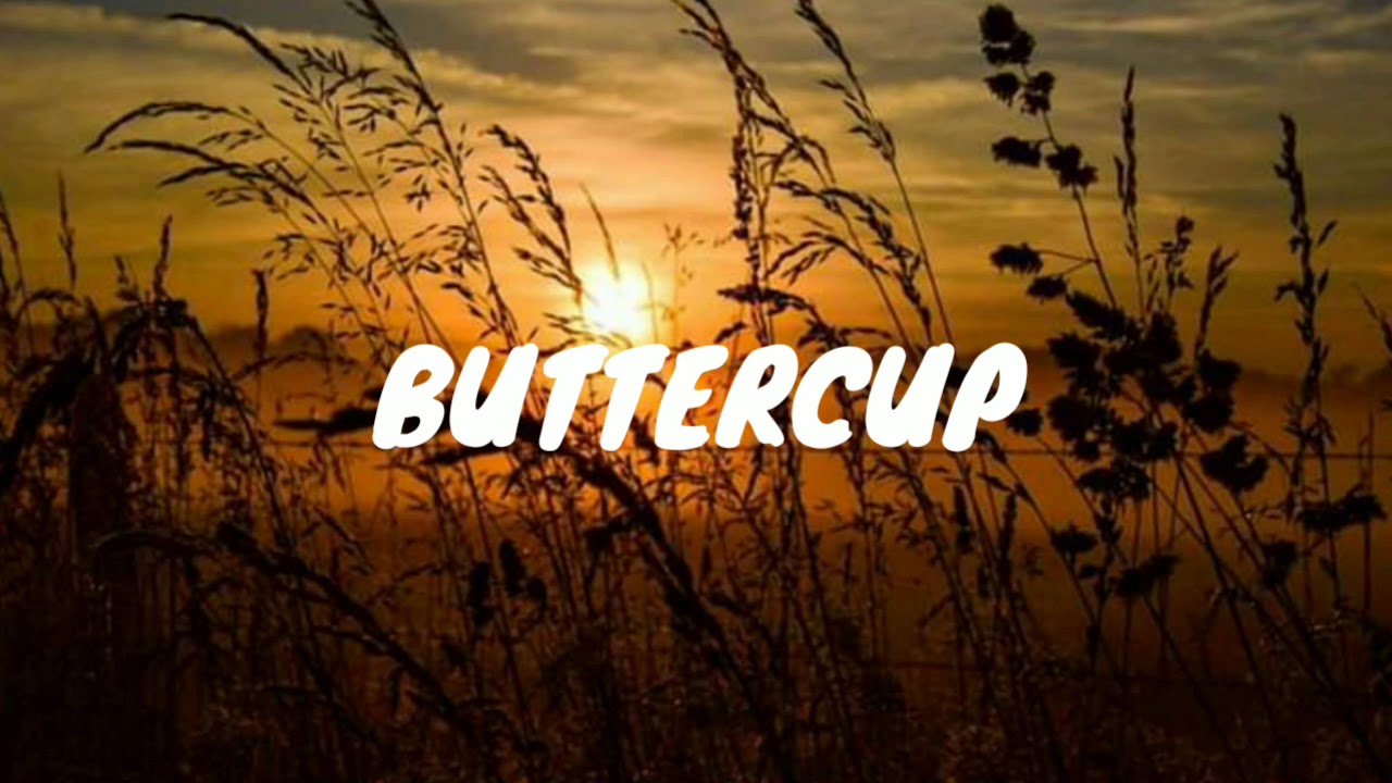 Jack Stauber - Buttercup lyrics - YouTube
