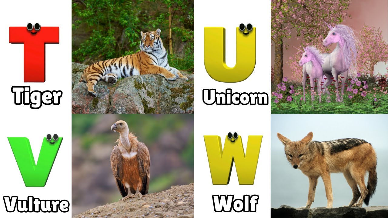 Animals ABC Song | Animals Alphabet Song | Alphabet Letters | Phonics ...