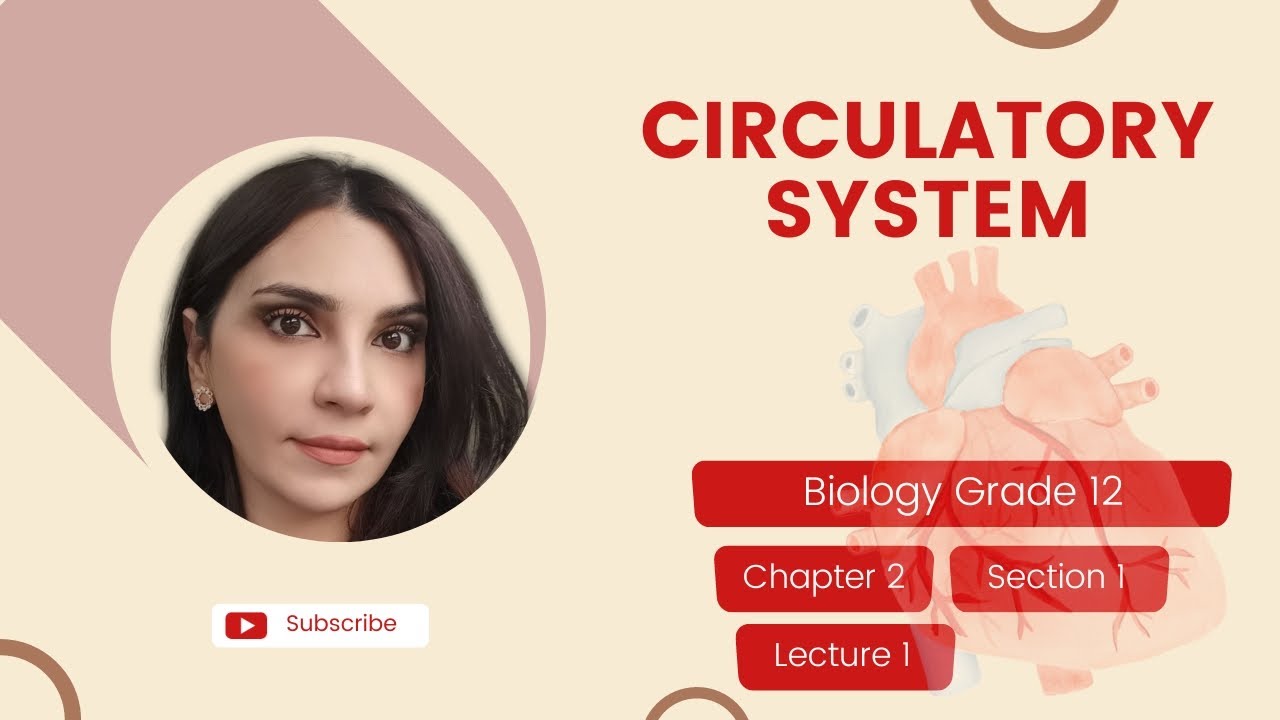 CIRCULATORY SYSTEM | Grade12- Chapter 2- Sec1- Part 1 - YouTube