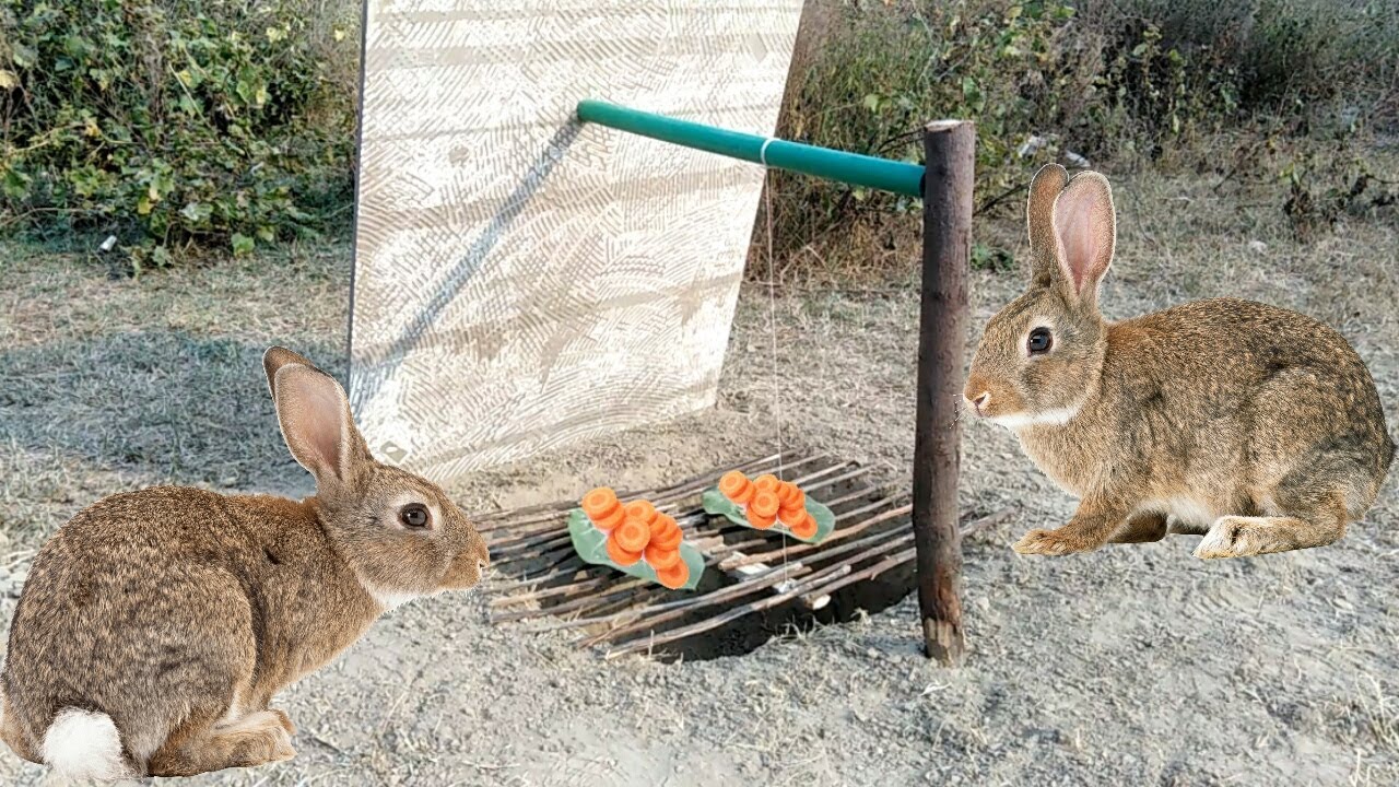Primitive Technology Rabbit Trap Using Green Pipe and Tile || Unique ...