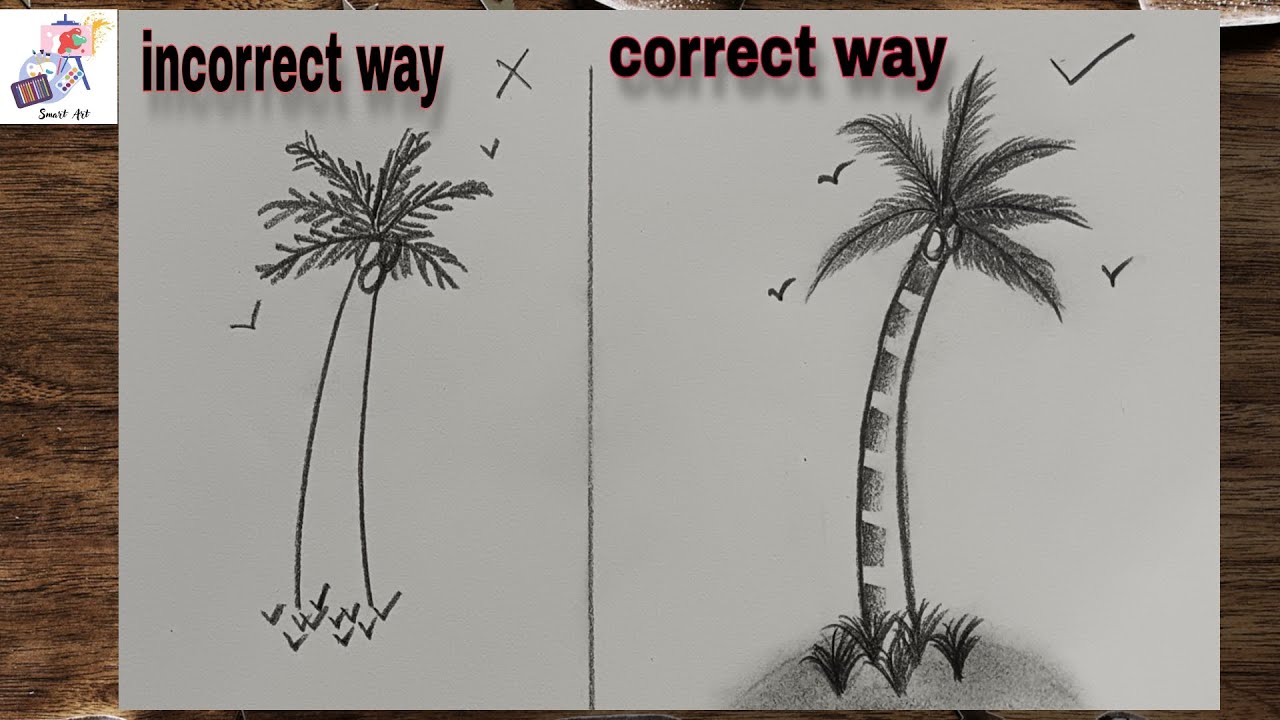 coconut tree drawing step by step||How to draw coconut tree|| Easy ...
