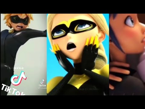 Miraculous TikToks that made Adrien like Marinette || Trixx Tricks 🧡 ...