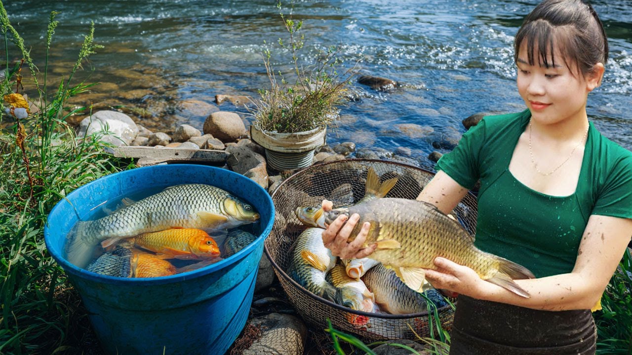 Cara Daily Life | Amazing Fishing Skills – Catching Lots of Fish in ...