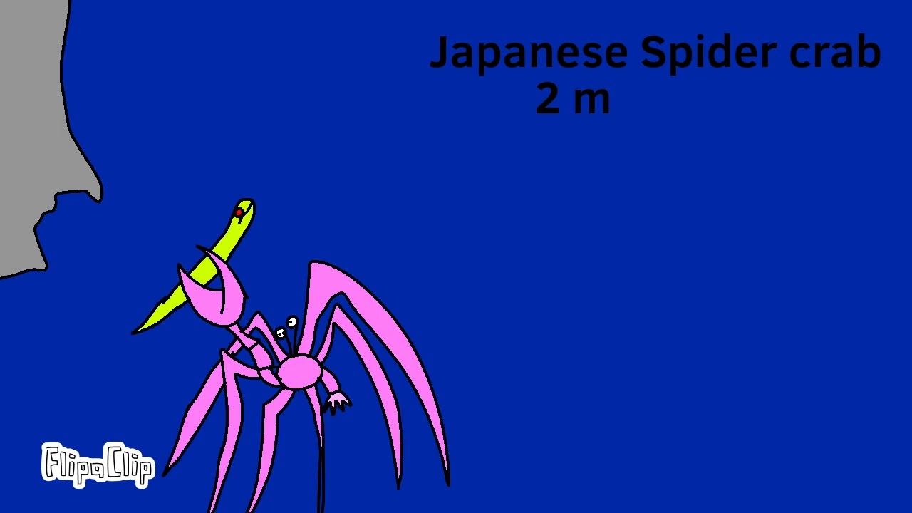 Sea Monster Size Comparison - YouTube