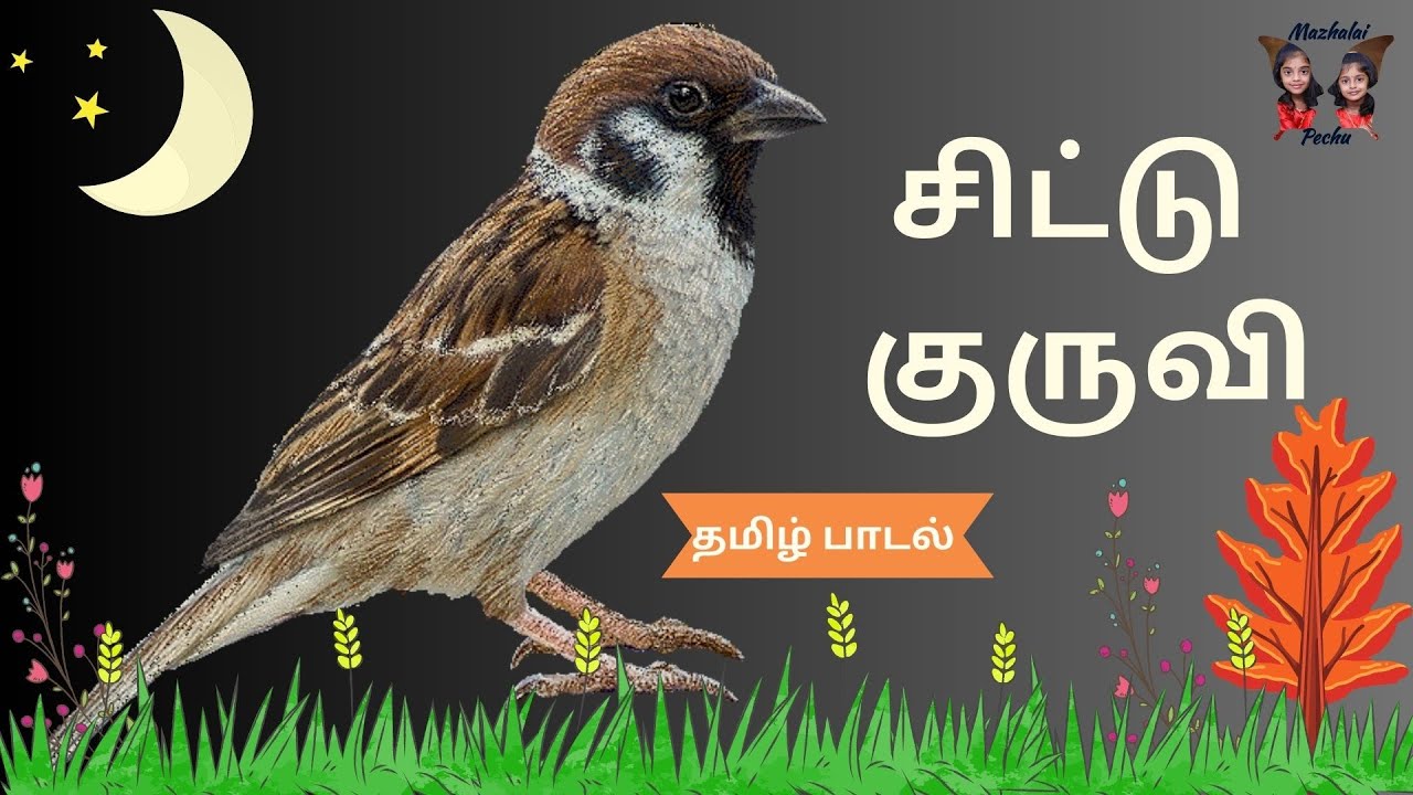Chittu Kuruvi Song | Tamil Rhymes | சிட்டு குருவி - YouTube