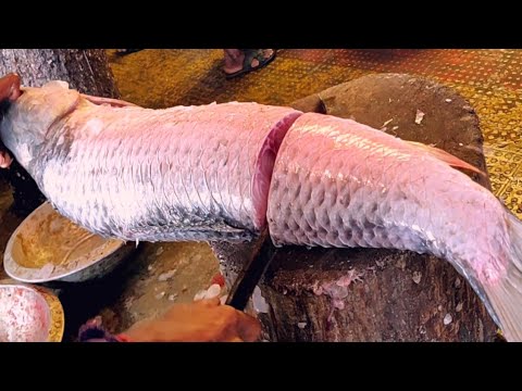 Amazing Giant Mrigal Fish Cutting Live In Fish Market | Fish Cutting ...