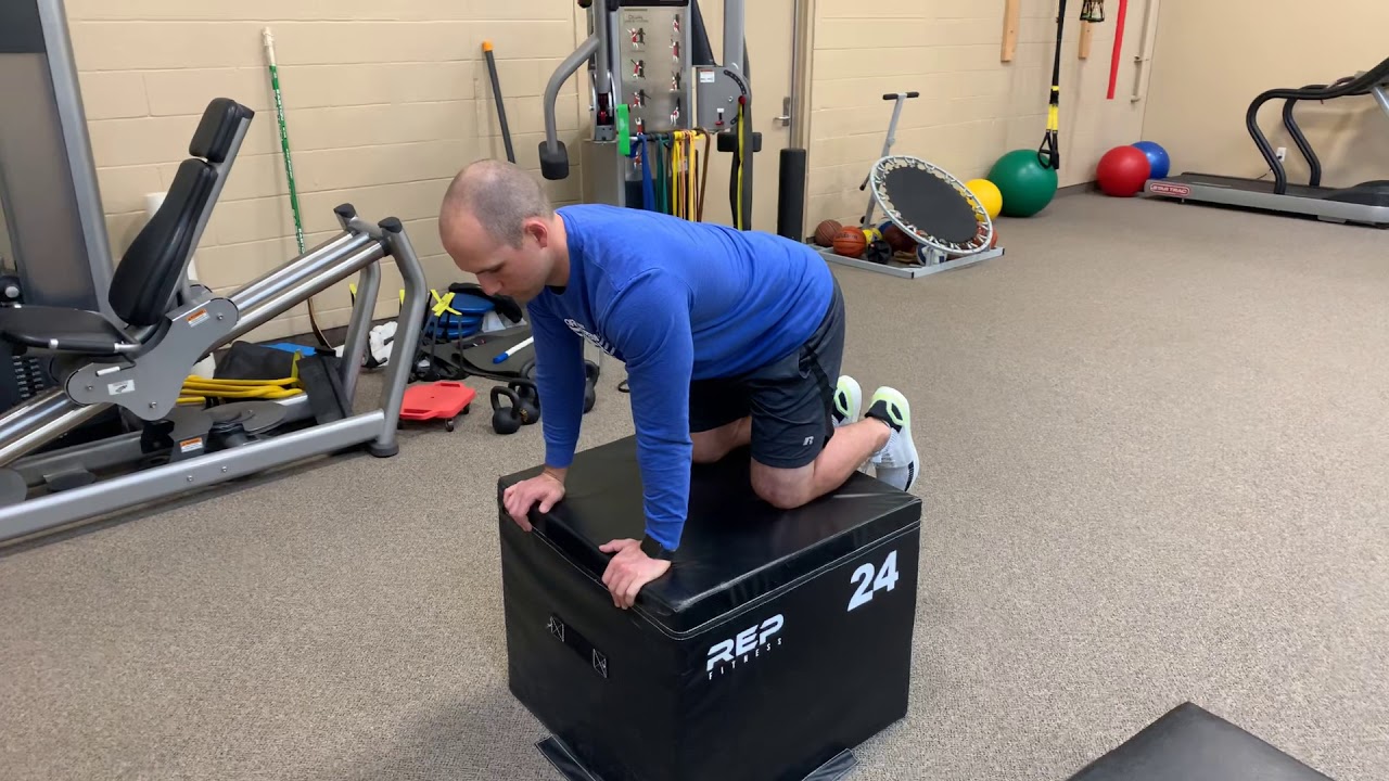 Beginner core stability - YouTube