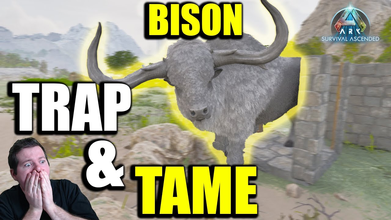 How To Trap Locate And Tame The New Bison in Ark Ragnarok + Spawn ...