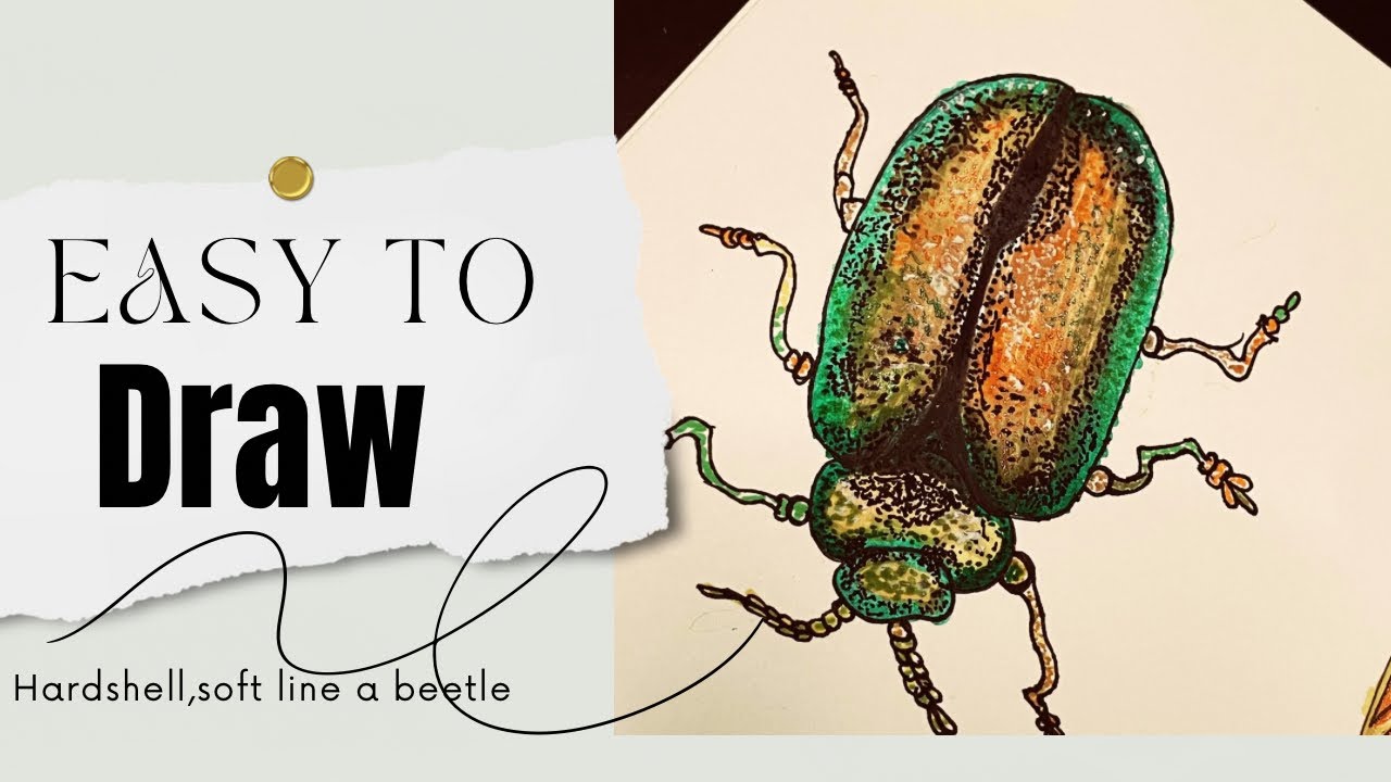 How to draw a beetle | Easy to draw | Drawing tricks | Day 12 - YouTube