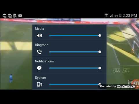 Dame ndoye  kacka kacka skill and Goals
