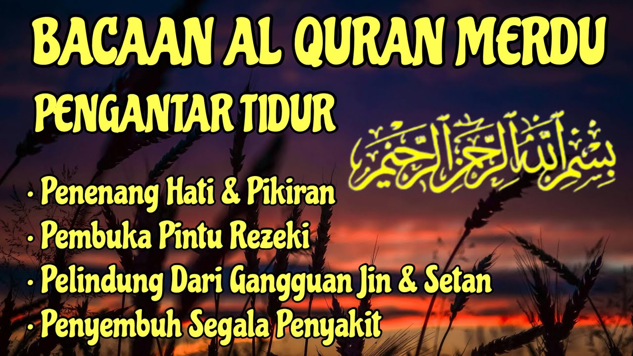 Al Quran Merdu Pengantar Tidur (Alaa Yaser) Pelindung Dari Jin & Setan ...