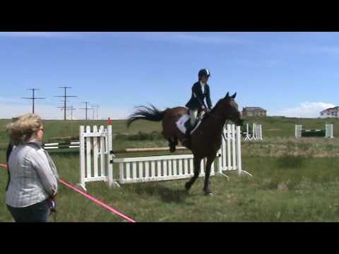 EVENTING - Training Level Stadium Jumping - YouTube