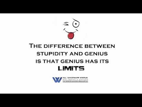 Best Funny WhatsApp Status EVER!